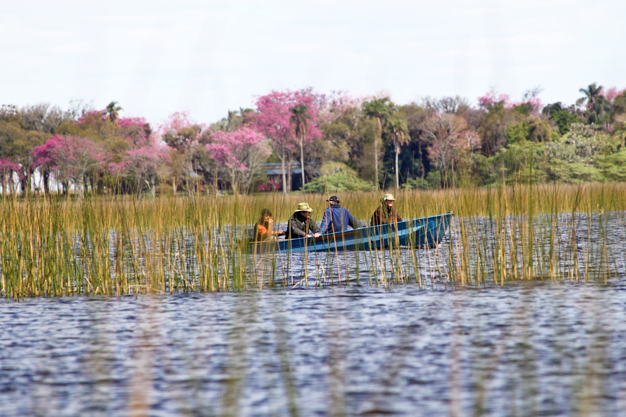 El Parque Nacional Iberá con las puertas abiertas al turismo nacional ...