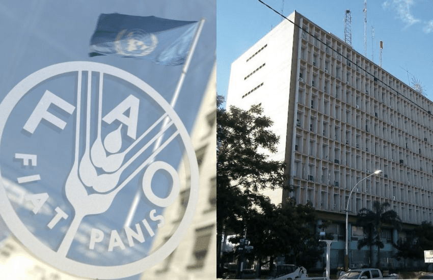 Recolección de datos y políticas públicas apuntadas a la pobreza rural ...